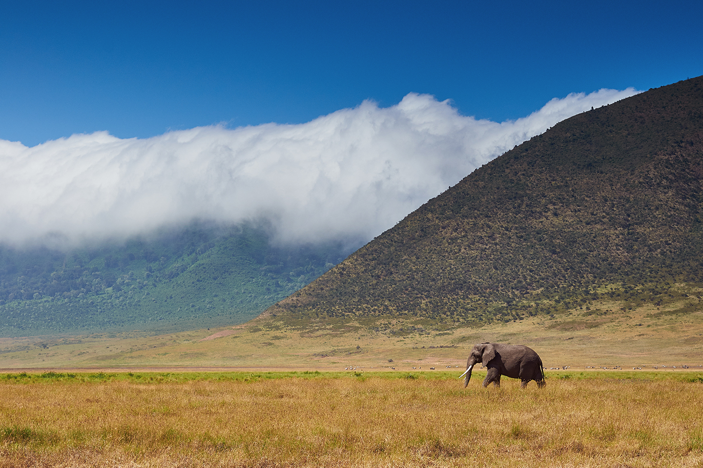 Born Free Lives on at Shaba National Reserve | Emerging Destinations