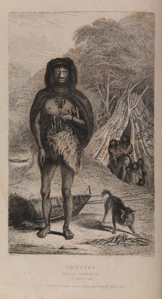 Patagonia’s Other Predator — The Wily Fox – Emerging Destinations