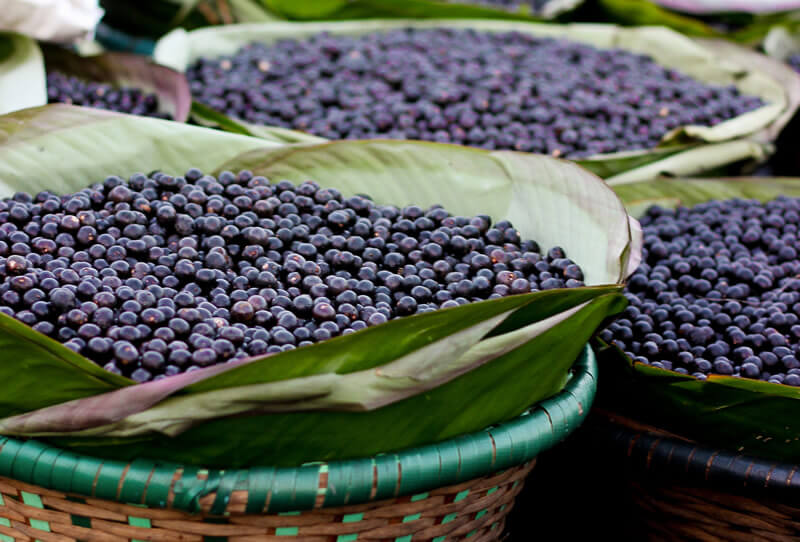 Amazonian Fruits Offer Extraordinary Health Benefits – Emerging ...