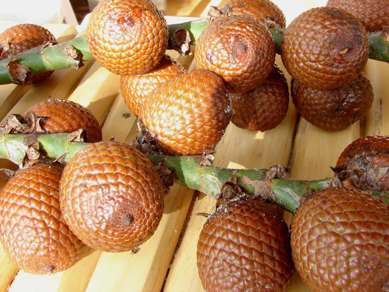 Amazonian Fruits Offer Extraordinary Health Benefits – Emerging ...