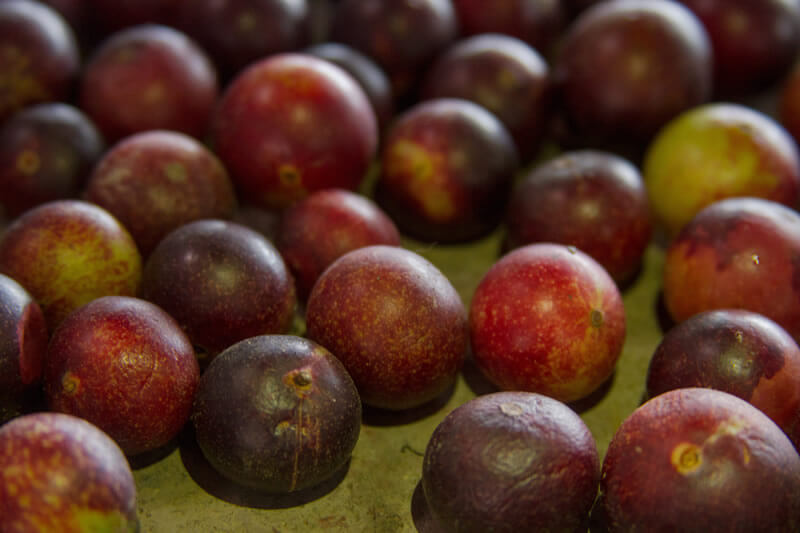 Amazonian Fruits Offer Extraordinary Health Benefits – Emerging ...