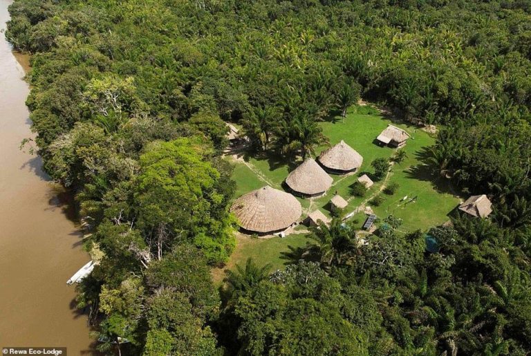 Read All About It: Try This Remote Guyana Jungle Lodge | Emerging ...