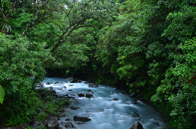 The Magic of Costa Rica’s Rainy Season | Emerging Destinations
